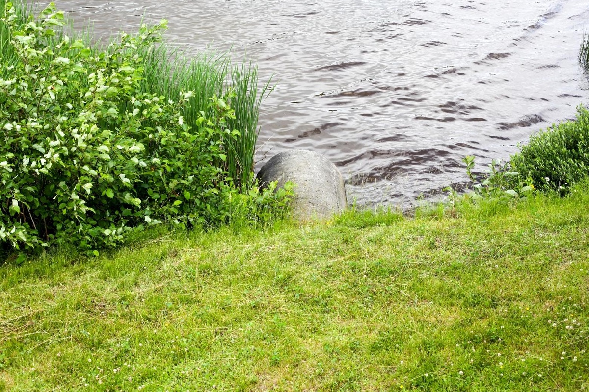 The Root Of The Problem: Trees To Avoid Near Sewer Lines - UnclogADrain.com